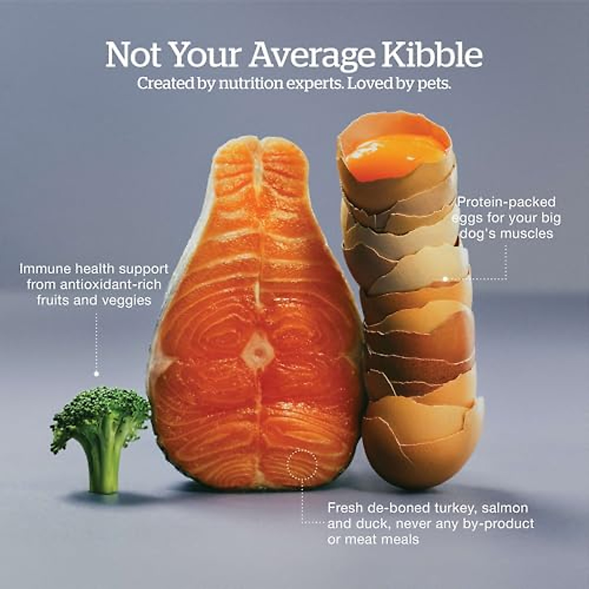 Now Fresh Grain-Free, Dry Dog Food, Real Meat and Fish, Turkey, Salmon and Duck Large Breed Senior Recipe, 25 lb Bag