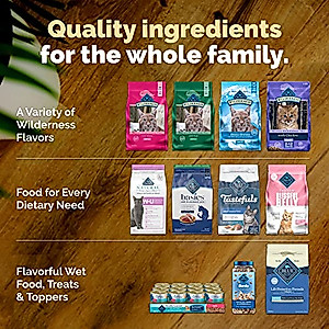 Blue Buffalo Cat Food for Kittens, Natural Chicken Recipe, High Protein, Dry Cat Food, 5 lb bag