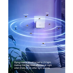 Cube-Shaped UV Light Fruit Fly Trap Sleek Design Plug-in Fly Trap for Flies, Fruit Flies (2 Device with 10 Refill Cards)