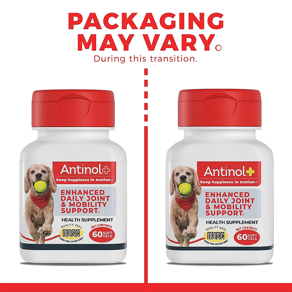 Antinol Plus, Mobility, Hip, and Joint Supplement for Dogs, Green-Lipped Mussels and Krill Oil - Dog Joint Supplement, Better and Faster Than Glucosamine and Chondroitin, 60 Soft Gels
