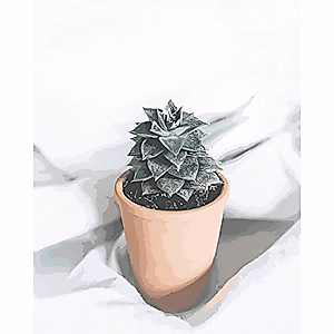 LikeyFactory Paint by Numbers Kit for Adults on Canvas with Paintbrushes Color Acrylic DIY Drawing Premium Quality Colorwork Paintwork Plant Echeveria Purpusorum 16x20inch
