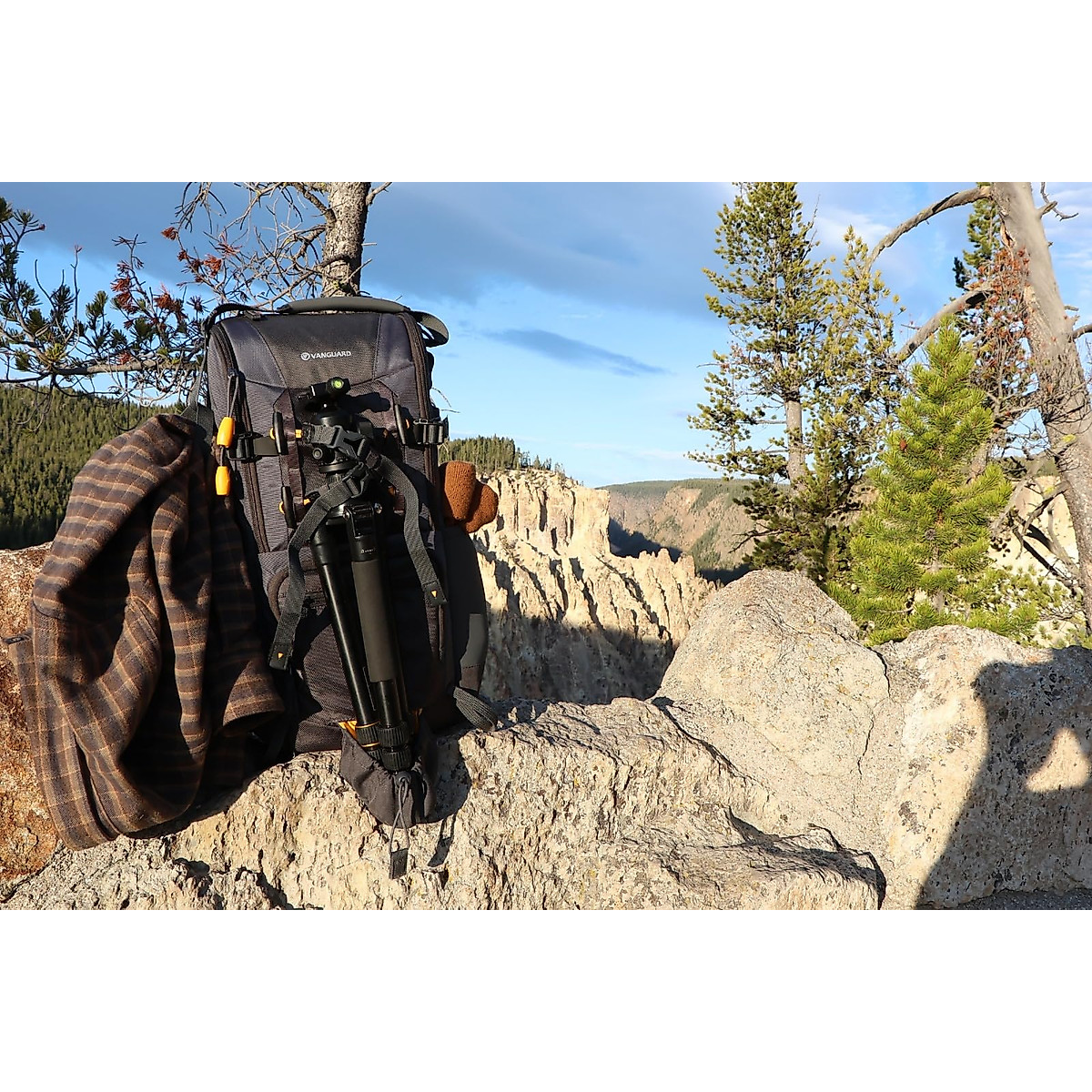 VANGUARD Alta Sky 45D Camera Backpack for Sony, Nikon, Canon, DSLR, Drones