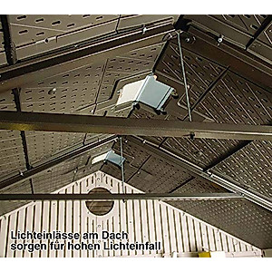 Lifetime 6405 Outdoor Storage Shed with Window, Skylights, and Shelving, 8 by 10 Feet