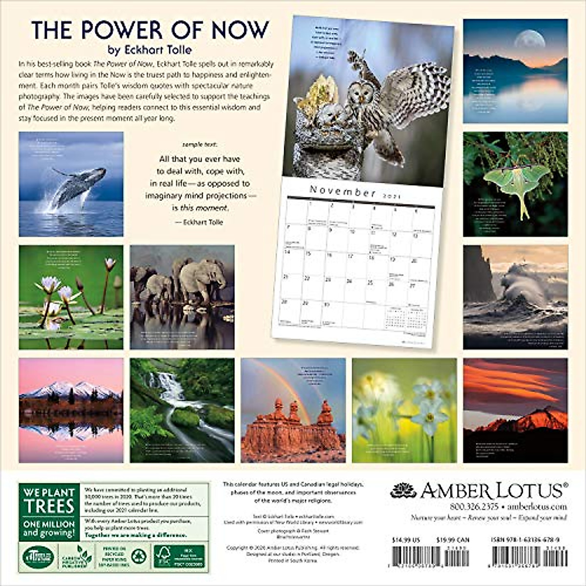The Power of Now 2021 Wall Calendar: A Year of Inspirational Quotes