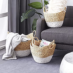 CosmoLiving by Cosmopolitan Seagrass Handmade Two Toned Storage Basket with Handles, Set of 4 17", 15", 13", 12"W, Brown