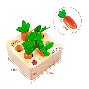 SGVV90 Shape Sorting Matching Montessori Wooden Toy, Farm Harvest Stem Puzzle Game with 7 Sizes Vegetables and Fruits, Developmental Preschool Educational Gifts for Toddlers (Carrot)