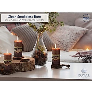 Royal Imports 3" x 6" Pillar Candles for Fall, Thanksgiving Holiday Décor, Rustic Farmhouse Wedding & Home Decoration, Unscented Dripless & Smokeless, Set of 6, Brown Autumn Ombre Wax