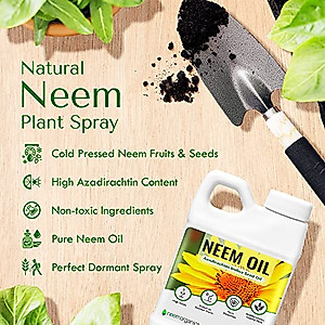 Pure Neem Oil, Neem Oil for Plants, Cold-Pressed Azadiracthin Neem Oil Concentrate for Plants and Irrigation, Plant-Based Dormant Oil Spray for Indoor and Outdoor Gardens, 16 oz - Neem Organics