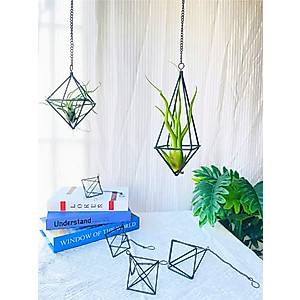 SZRUIZFZ Black Metal Air Plant Hanger, Tillandsia Air Plants Holders Unique, Modern Air Fern Display Stand with Chains for Home Wall Decor,Octahedron Himmeli Geometric Decor, Home Decor Gifts (6Pcs)