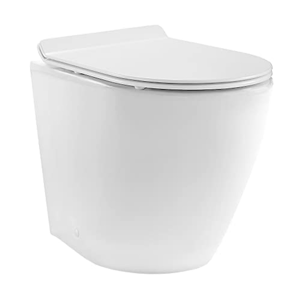 St. Tropez Back to Wall Concealed Tank Toilet Bowl Bundle in Glossy White