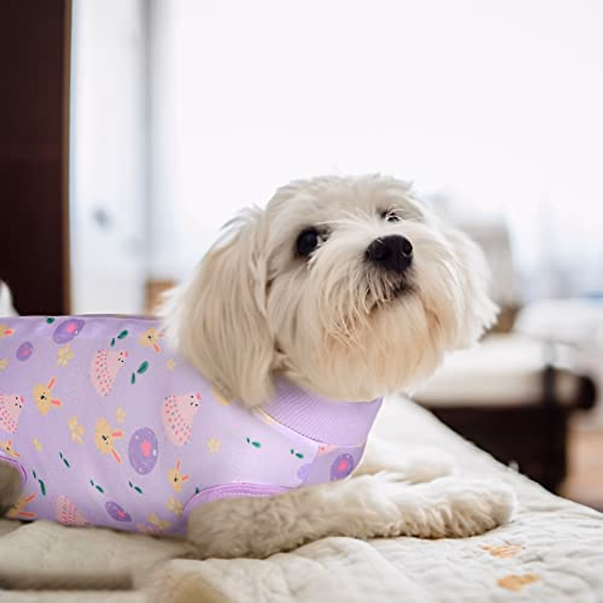ASENKU Easter's Day Dog Onesie Pet Pajamas, Dogs Recovery Suit for Dogs Cats After Surgery, Dog Pajamas Outfit Bodysuit for Small Medium Large Dog Cat Costume (Easter's Day, XL)
