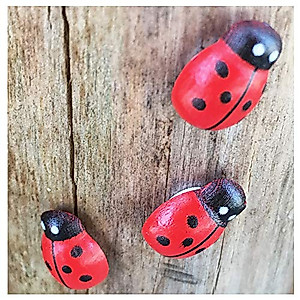 Tophappy 100pcs Miniature Fairy Garden Ornaments Kit Set, Ladybugs,Mushrooms, Flowers with Tools for DIY Fairy Garden Décor