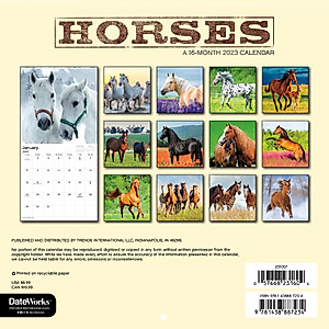 2023 Horses Mini Wall Calendar