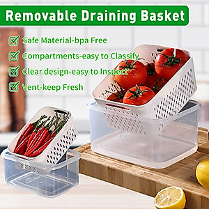 Pack of 3 Fruit Fresh Produce Protector, Grape Container for Fridge, Fruit Saver Lettuce Container with Drain Colanders, Partitioned Salad Container, Refrigerator Organizer for Lettuce Berry Food (3)