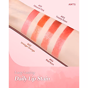 AMTS Tinted Lip Balm - 01 Mauve Pink | Hydrating Lip Butter, Moisturizing Lipstick | Daily Natural Lip Makeup for dry, cracked, chapped lips | korean beauty Lip Tint