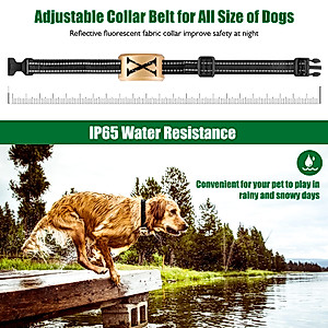 BHCEY Wireless Dog Fence, 2023 Electric Wireless Fence Training Collar with Remote 2-in-1, Pet Containment Fence System, Rechargeable Safe Dog Boundary, Adjustable collar for Small Medium Large Dogs