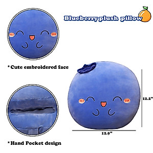 Goylmc Blueberry Plush Pillow, Fruit Stuffed Animal, Food Plush Pillow with Hand Pocket, Gift for Kids Adults (12.9 * 12.2in)