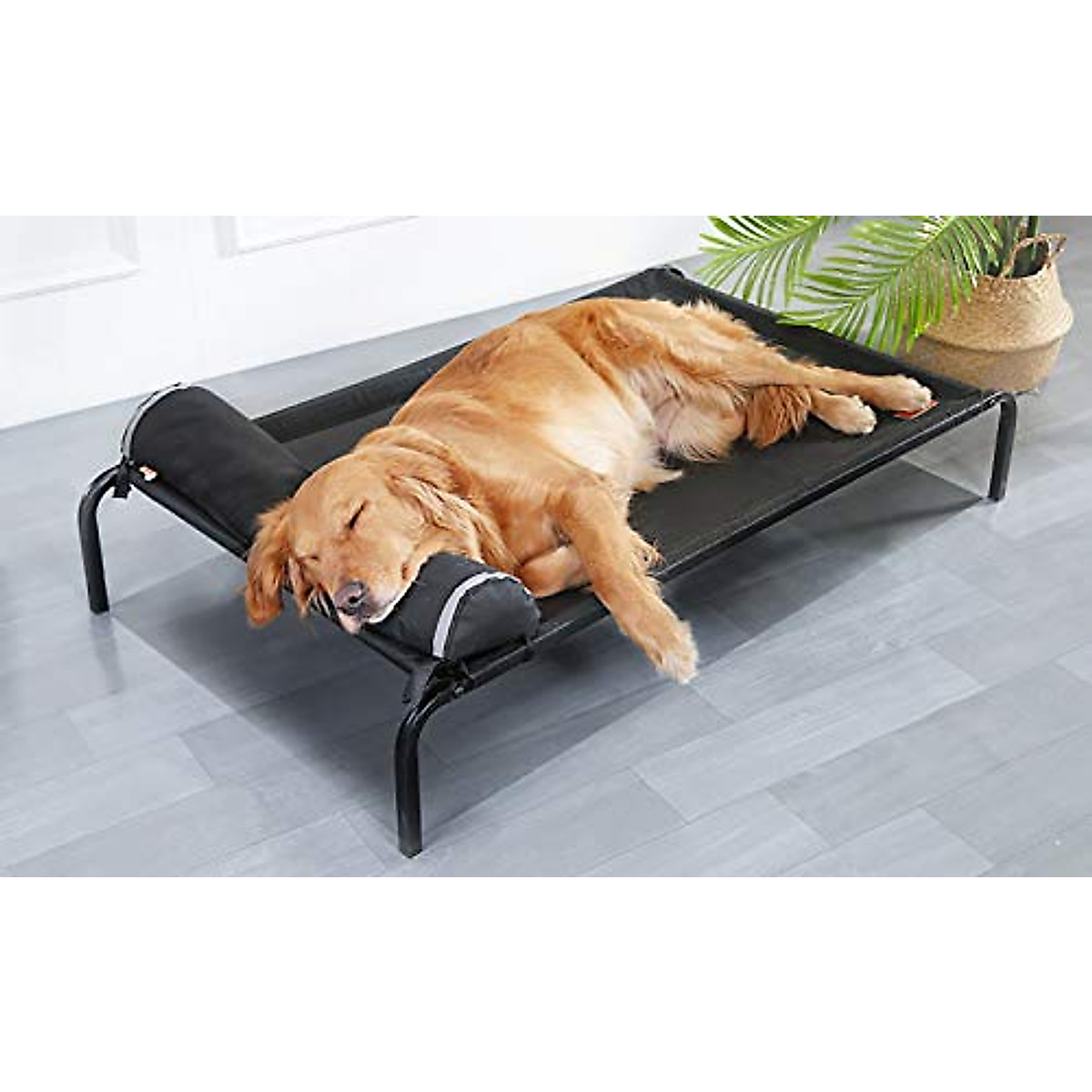 LXLA Original Elevated Dog Cot Bed with Removable Bolsters, Raised Dog Cots for Cats and Small Medium Dogs, Easy Assemble, Black (Size : XL 122×72×21cm)