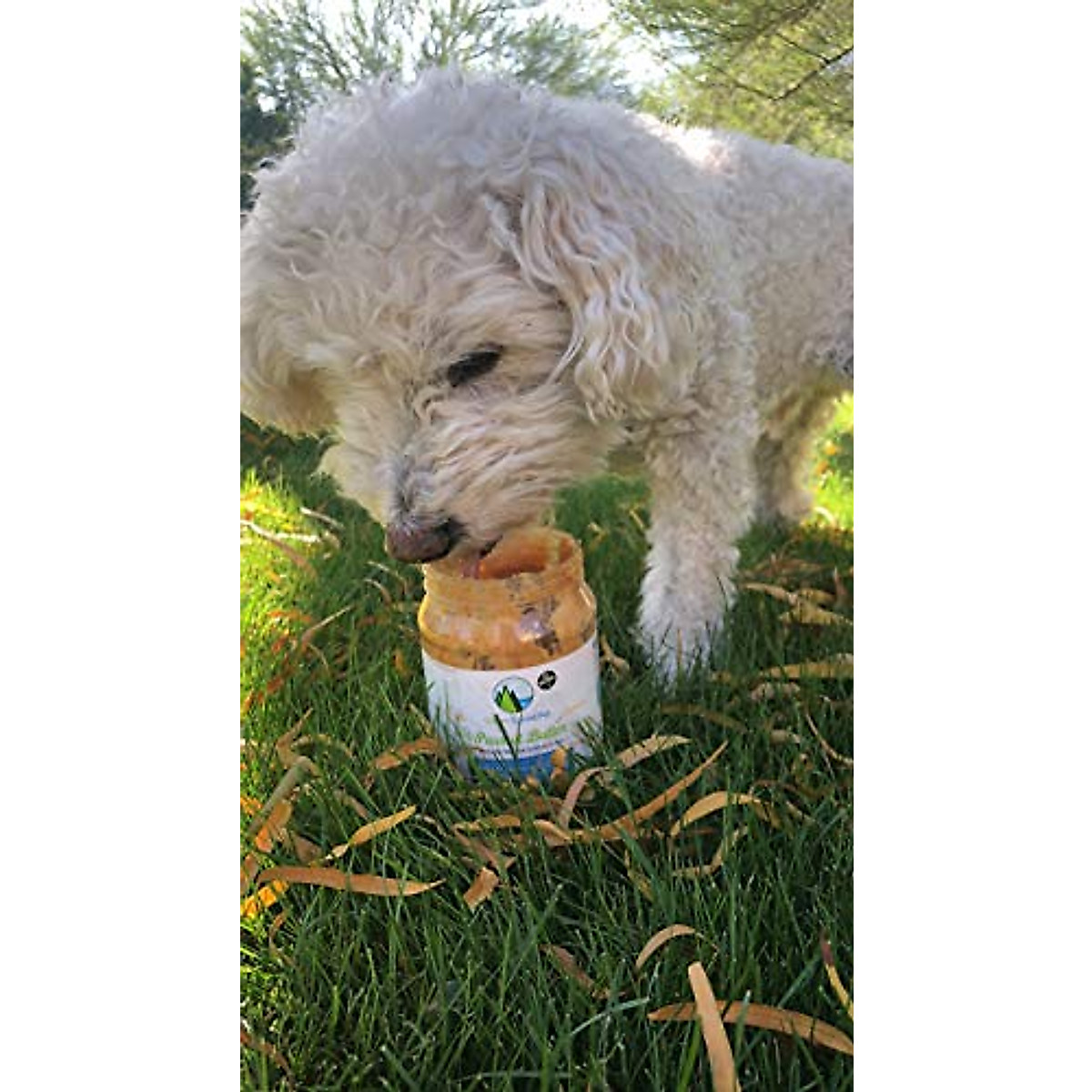Green Coast Pet Pawnut Butter
