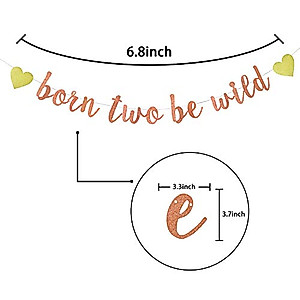 Rose Gold Glitter Born Two Be Wild Banner for Two Years Old, 2nd Happy Birthday, Baby Shower Party Decorations