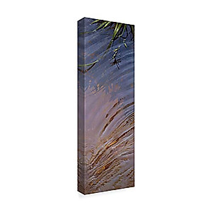 Trademark Fine Art, 8x24-Inch Water Ripples by Michael Jackson