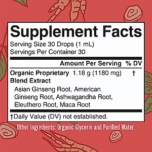 MaryRuth's Herbal Supplement for Brain Function | Boost Energy | Memory | Vitality USDA | Ginseng with Ashwagandha | Eleuthero and Maca Root Extract | 1 Fl Oz