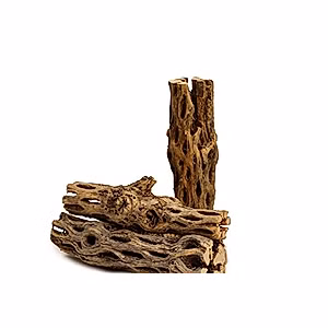 NilocG Aquatics 3 Pieces 5-6" Long Natural Cholla Wood for Aquarium Decoration