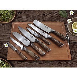 Kitchen Damascus Knife Set Japanese VG-10 Steel Knives Block Set Shadow Wood Handle for Chef Knife Set High Carbon Core Stainless Steel Full Tang Kitchen Knife Set with Block (8 Piece)