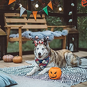 PurrNbark Halloween Dog Bandanas for Small Medium Large Breed Dogs and Cats Dog Bandana Girl Boy Scarf 2Pack Halloween Costumes Accessories Pumpkin Skeleton Ghost Pattern Black