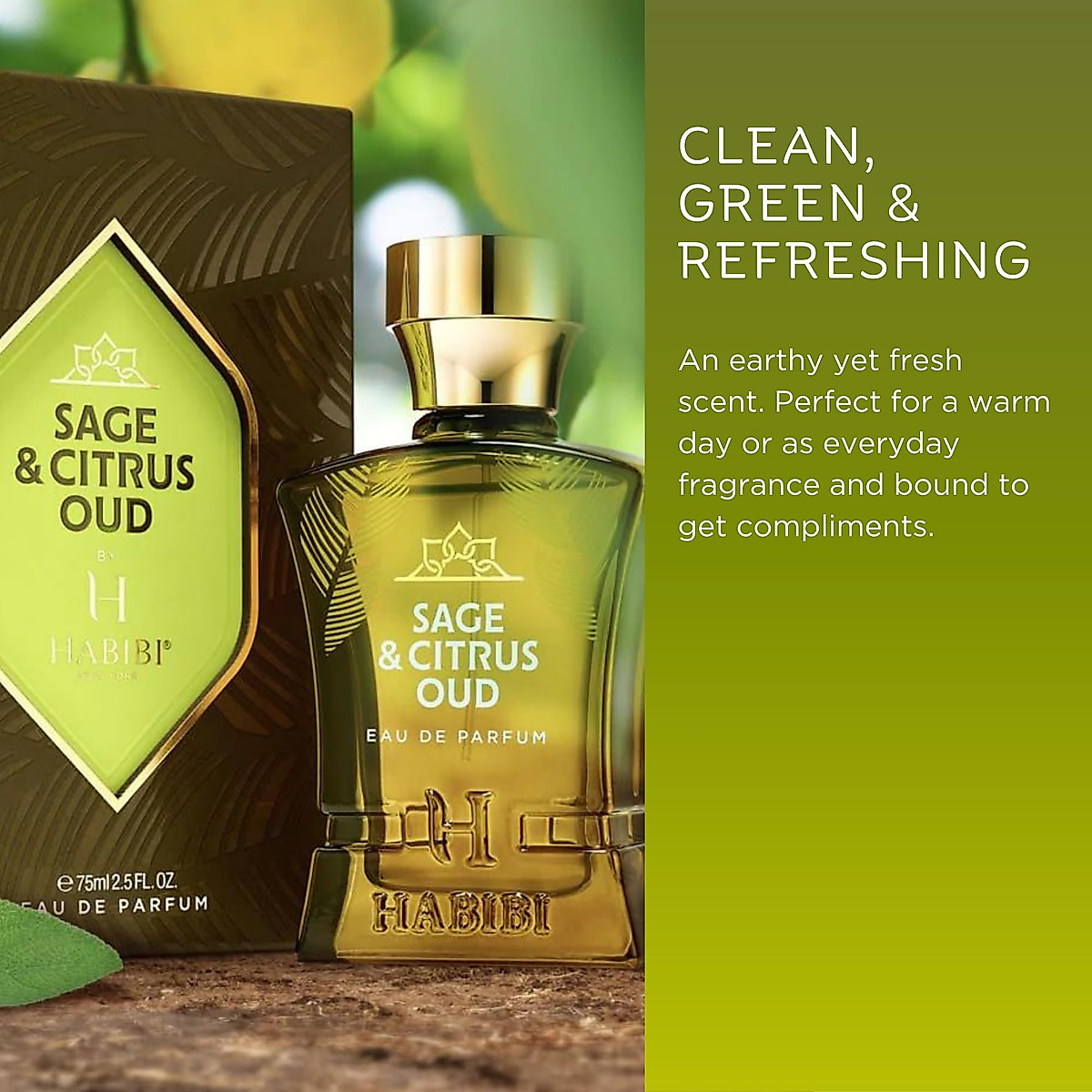 H HABIBI Sage & Citrus Perfume Oud Arabian Men's Cologne - Fresh & Woody Citrus Cologne for Men - Sage, Oud & Patchouli Perfume for Men - Eau de Parfum for Men - Blended with Rare Exotic Notes