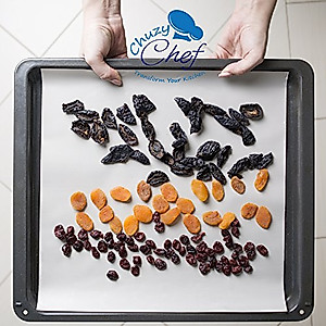 Chuzy Chef Set of 9 Dehydrator Sheets - Baking Mat Teflon Dehydrator Sheet - 14'' X 14'' Food Dehydrator Tray Liners Non Stick Sheets Baking Mat Food Dryer Sheet For Excalibur