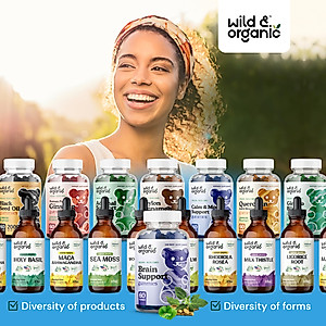Wild & Organic Brain Support Gummies - Focus Supplement w/Ashwagandha Root, Vitamin B12, Ginkgo Biloba, Bacopa - Vegan Chews for Clarity & Productivity - 60 Brain Gummies