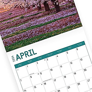 2024 Seasons Monthly Wall Calendar by Bright Day, 12 x 12 Inch Spring Summer Autumn Winter