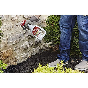 Ortho 0221310 Home Defense MAX Insect Killer for Indoor and Perimeter RTU Trigger (2)