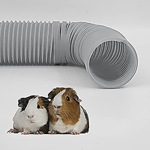 2 Pieces Pet Fun Tunnel Small Animal Play Tunnel Collapsible Plastic Tube Pet Hideaway Fun Toys for Hiding Training Fit Guinea Pigs Hamsters Chinchillas Rats Ferrets Dwarf Rabbits Green Black Wishope