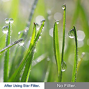 Sedremm Compatible with 77mm Star Filter 3 Pieces Starburst Lens Filter Canon Nikon Sony Olympus Pentax Tarmon Sigma and Other DSLR Cameras 4 Points 6 Points 8 Points