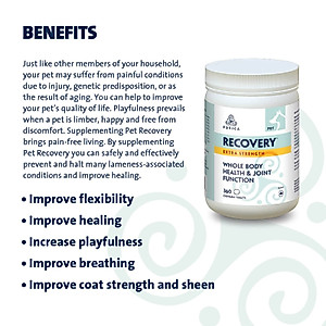 PURICA - Pet Recovery Extra Strength - Dog Supplement - Glucosamine Chews for Large & Small Breed Dogs - Hip & Joint Support - 360 Count (Pack of 1)