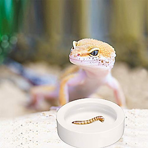 Meanplan 4 Pieces Reptile Water Food Bowl Terrarium Bowls Worm Dish Ceramic Pet Bowls Mini Reptile Food Ceramics Water Bowl Anti-Escape Mini Reptile Feeder for Lizard Anoles Bearded Dragons