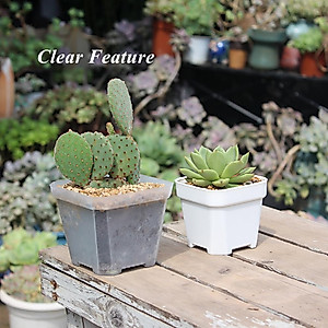 BangQiao 30 Pack Small 3.90 Inch Plastic Square Nursery Pot, Plant Starting and Transplant Planter Container with Drainage Hole for Seed Germination, Clear