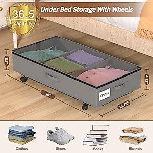 damynuo Under Bed Storage with Wheels - 2Pack Under Bed Storage Containers with Clear Lid and Handles, The Underbed Storage Bins Perfect for Under Bed Shoe Storage, Great Under Bed Drawers