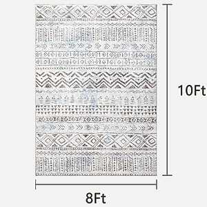auruge Area Rug Vintage Boho Indoor Rugs Cozy & Fluffy Foldable Carpet Non-Slip Non Shedding & Machine Washable Rugs for Living Room Bedroom Dining Room,Beige & Blue,8x10