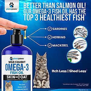 Omega 3 Fish Oil for Cats - Better Than Salmon Oil for Cats - Kitten + Cat Vitamins and Supplements - Cat Health Supplies - Cat Dandruff Treatment - Liquid Fish Oil for Pets - Cat Shedding Products