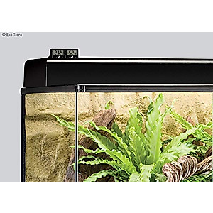 Exo Terra LED Thermometer and Hygrometer Bundle for Reptile Terrariums