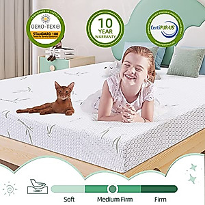 Vyfipt 6 Inch Green Tea Mattress, Bamboo Cover Medium Firm Memory Foam, Twin