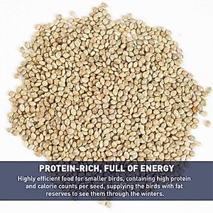 EasyGo Product White Millet Wild Bird Food – 50 lb