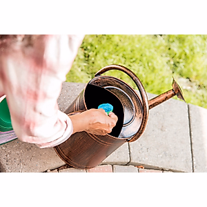 Vogholic Miracle-GRO 2757010 Water Soluble All Purpose Plant Food 24-8-16 3Kg: Amazon.ca: Patio, Lawn & Garden