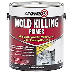 Zinsser Mold Killing Primer