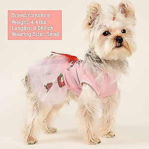 Dog Dress Sequins Strawberry Tulle Puppy Clothes Costumes Outfits for Small Dogs Girl (Large, Pink)