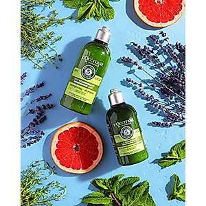 L'OCCITANE Aromachologie Nourishing Care Conditioner Enriched with Olive Oil for Dry to Very Hair, 8.4 fl. oz.