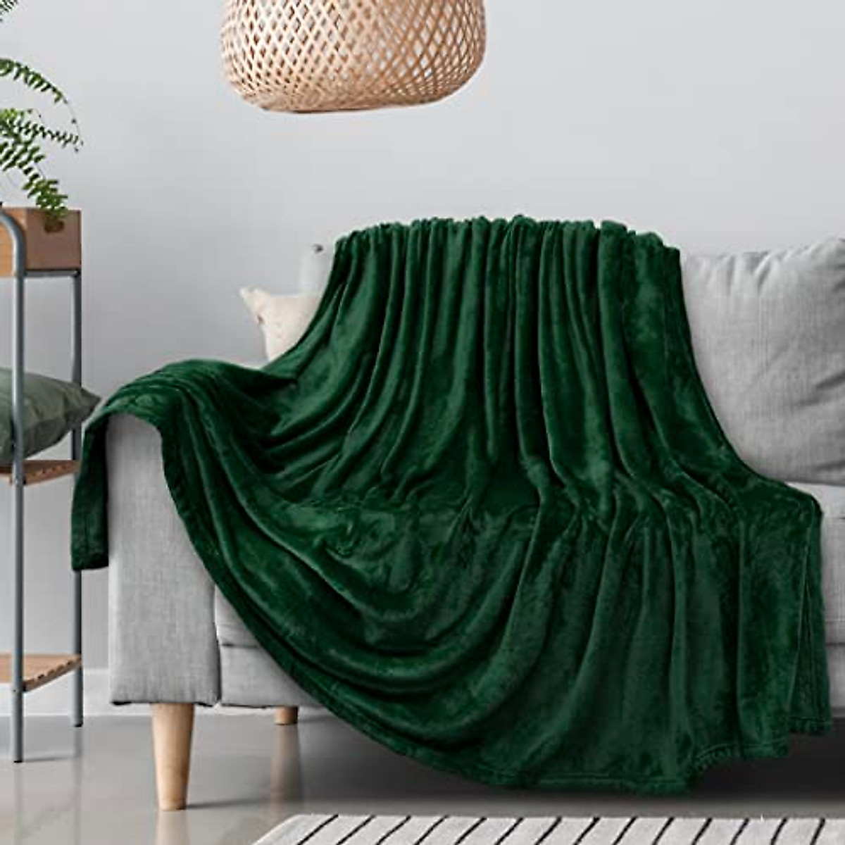 PAVILIA Fleece Blanket Throw | Super Soft, Plush, Luxury Flannel Throw | Lightweight Microfiber Blanket for Sofa Couch Bed (Emerald Green, 50x60 inches)